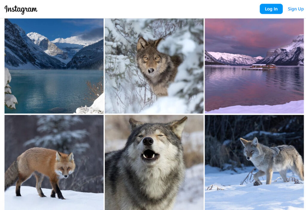 Instagram for Wildlife & Landscape Photographers – Mountains and Treasures